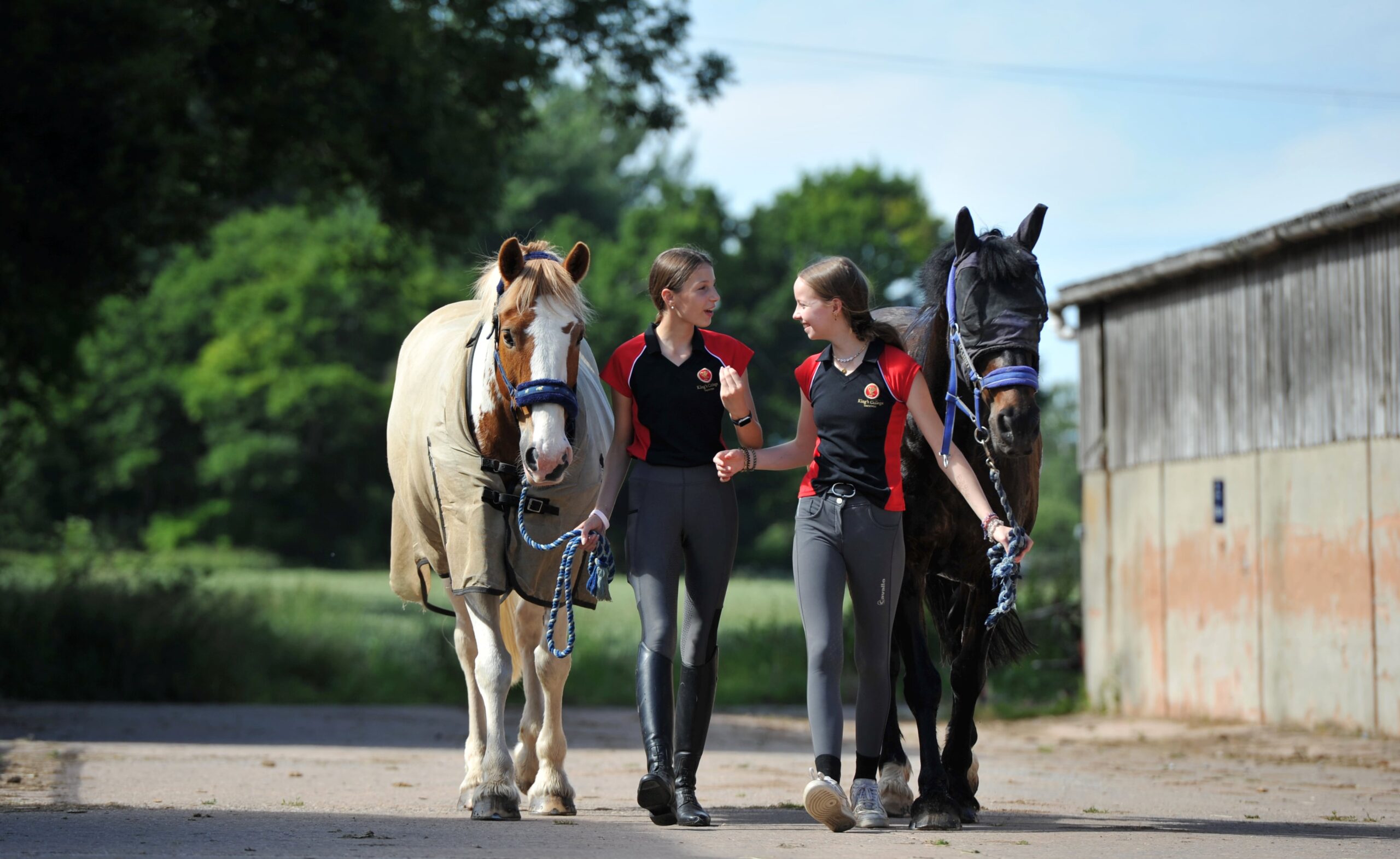 Equestrian Centre | King's College Taunton